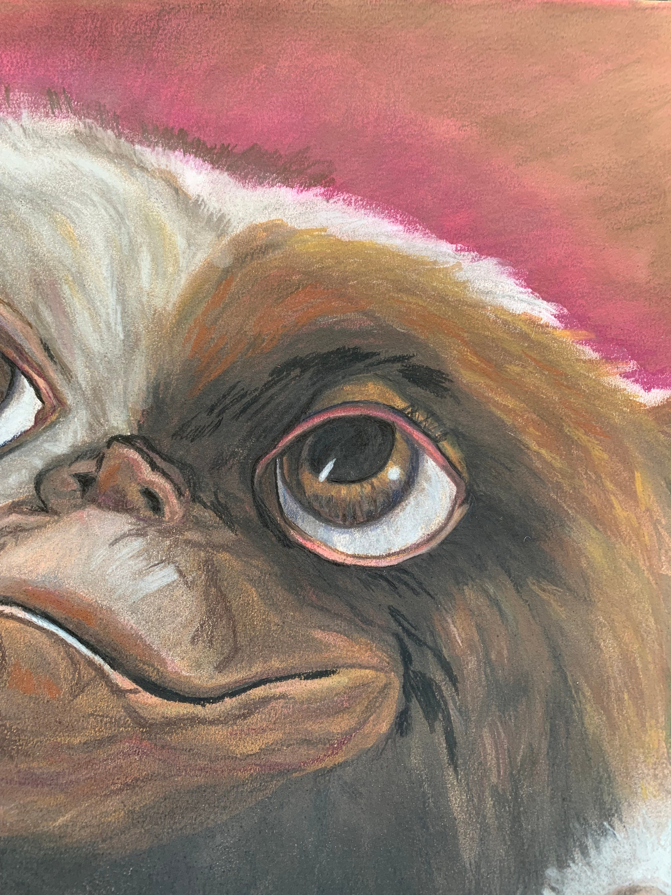 Hand Drawn Art the Gremlins Gizmo Pastel on Paper A2. Original, Not a ...