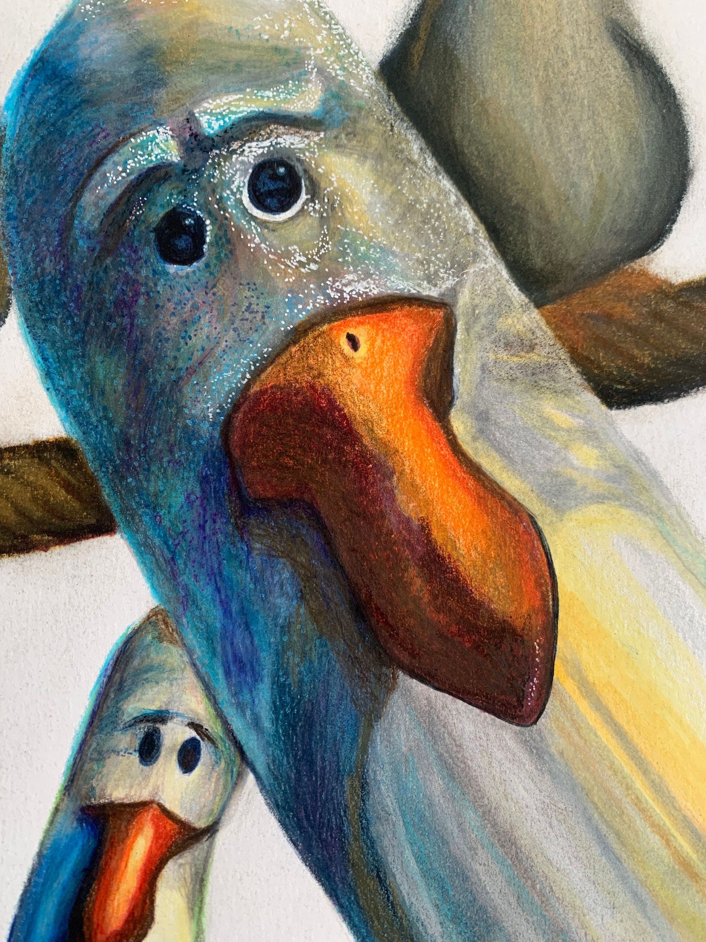 Finding Nemo Seagulls Hand Drawn Art Artwork Drawing Picture ...