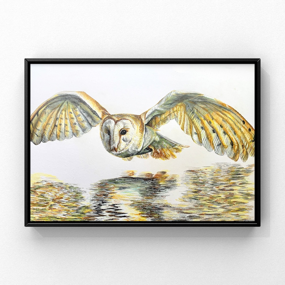 Swooping Barn Owl Above Water - Hand Drawn Art Artwork Drawing Picture ...