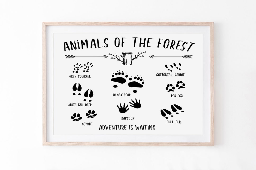 Animal Tracks Print, Woodland Animal Tracks Printable, Forest Animal ...