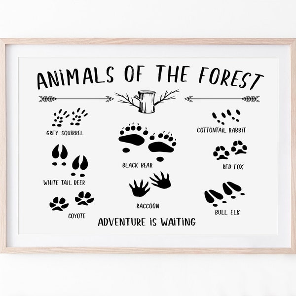Animal Tracks - Etsy