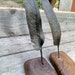 Forged Feathers a Gift for Writers Journalists Poets Wood and Metal ...