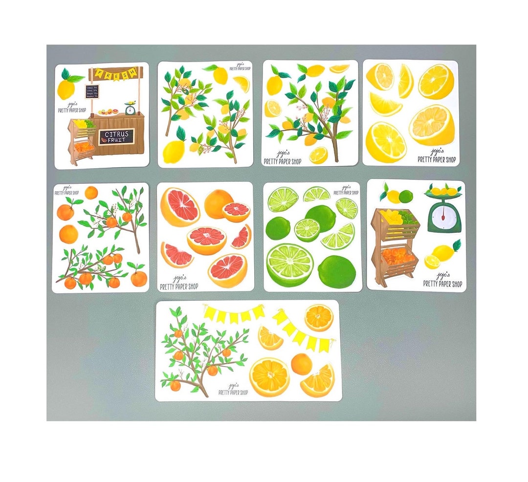 Citrus Fruits Collection - Planner Stickers - Etsy