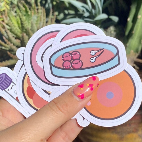 Cute IVF Fertility Sticker Set Science Kawaii In-vitro - Etsy