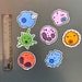 Cute Antibodies and Immune Cells Decorative Magnet Set - Etsy
