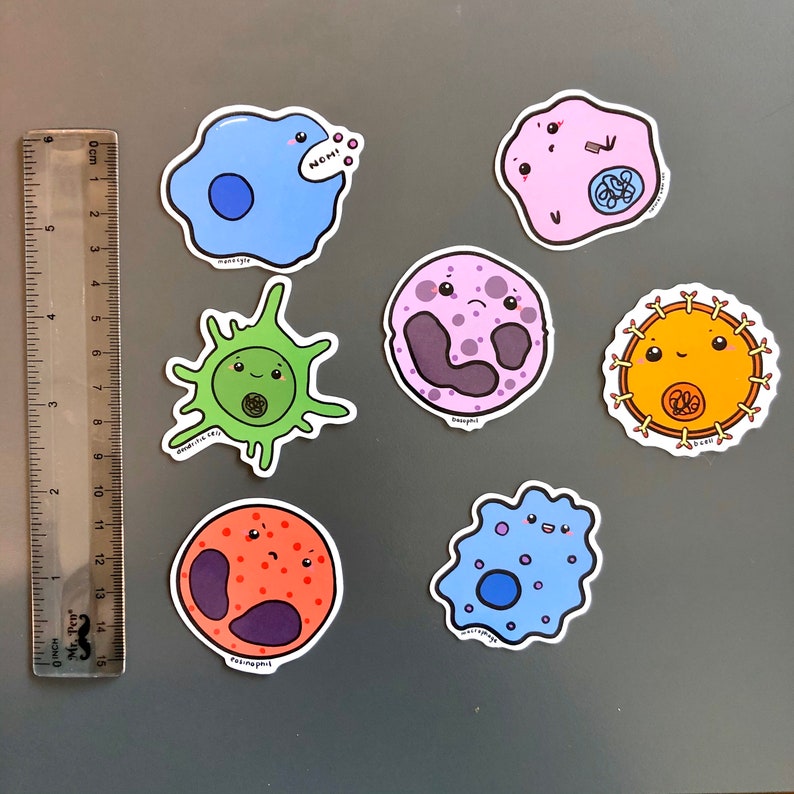 Cute Antibodies and Immune Cells Sticker Set - Etsy