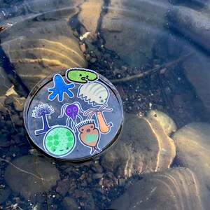 Cute Microorganism Critters Sticker Set - Etsy