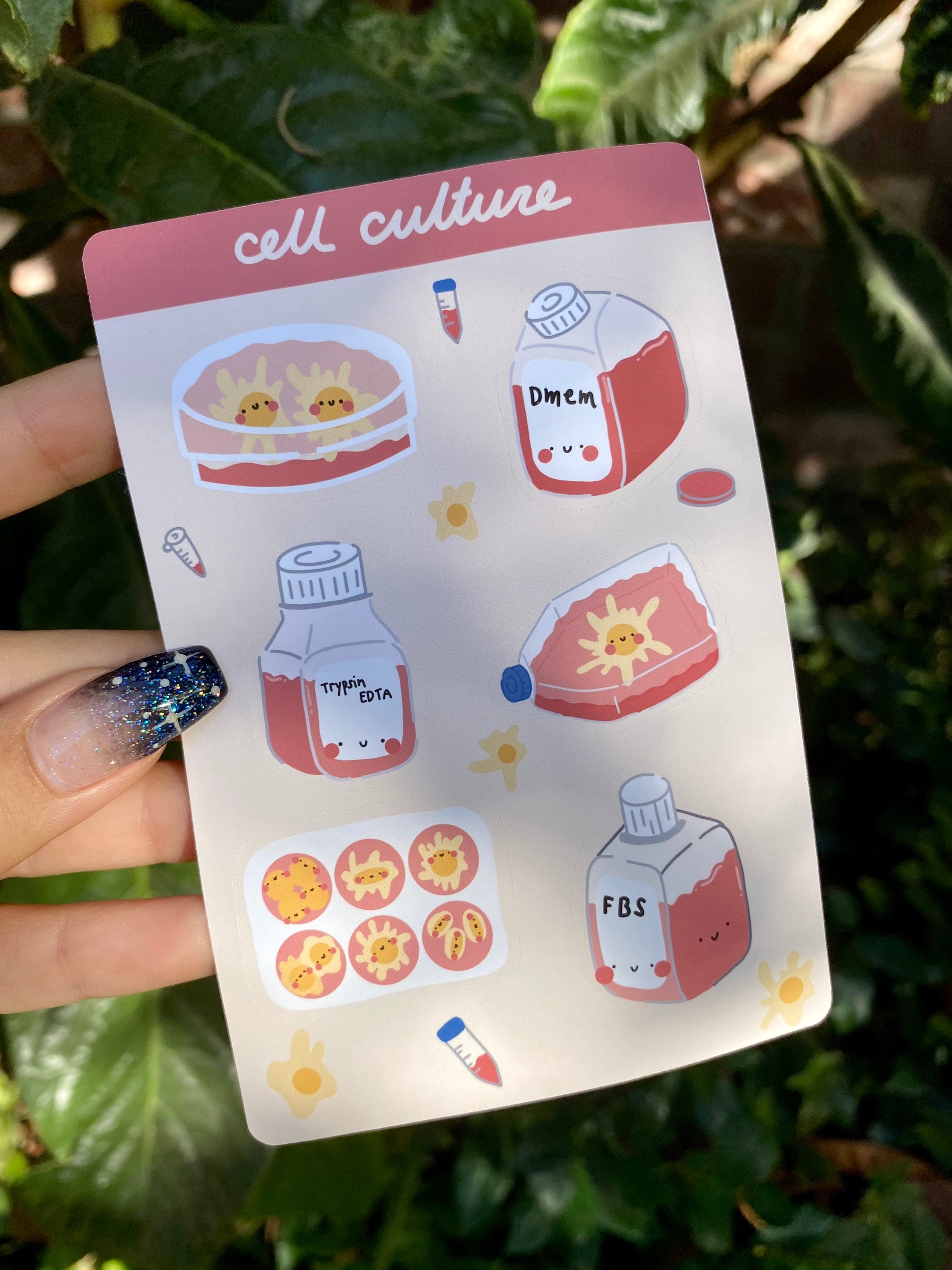 Cute Eukaryotic Cell Culture Sticker Sheet Kawaii Science | Etsy