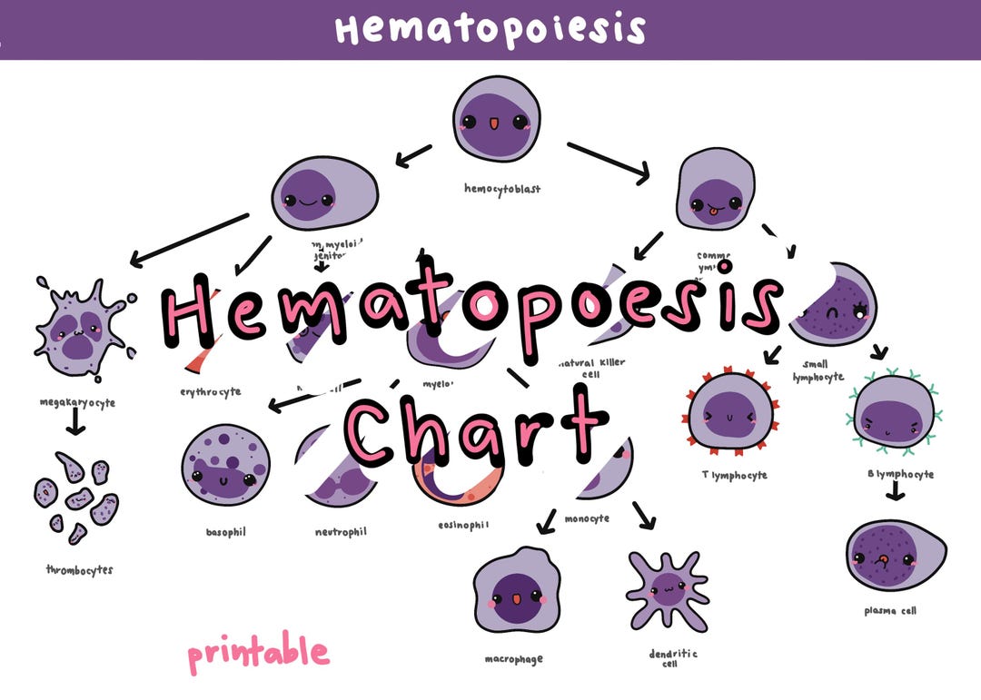 Cute Hematopoiesis Chart Kawaii Blood Cells Immune Cells - Etsy