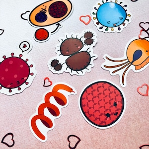 Cute Stds Sticker Set - Etsy