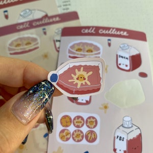 Cute Eukaryotic Cell Culture Sticker Sheet ~ Kawaii Science Planner ...