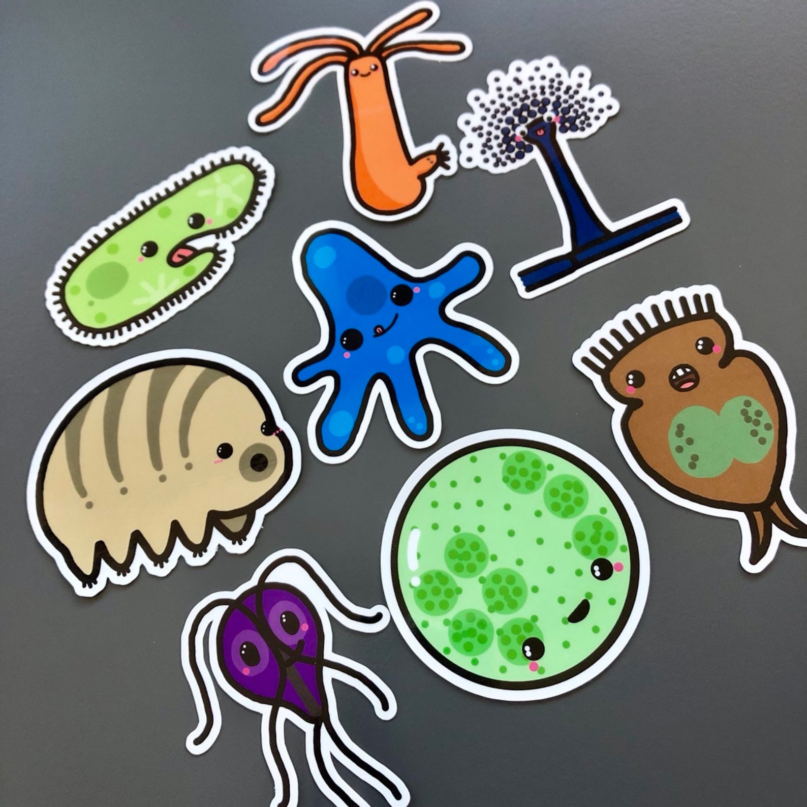 Cute Microorganism Critters Decorative Magnet Set | Etsy