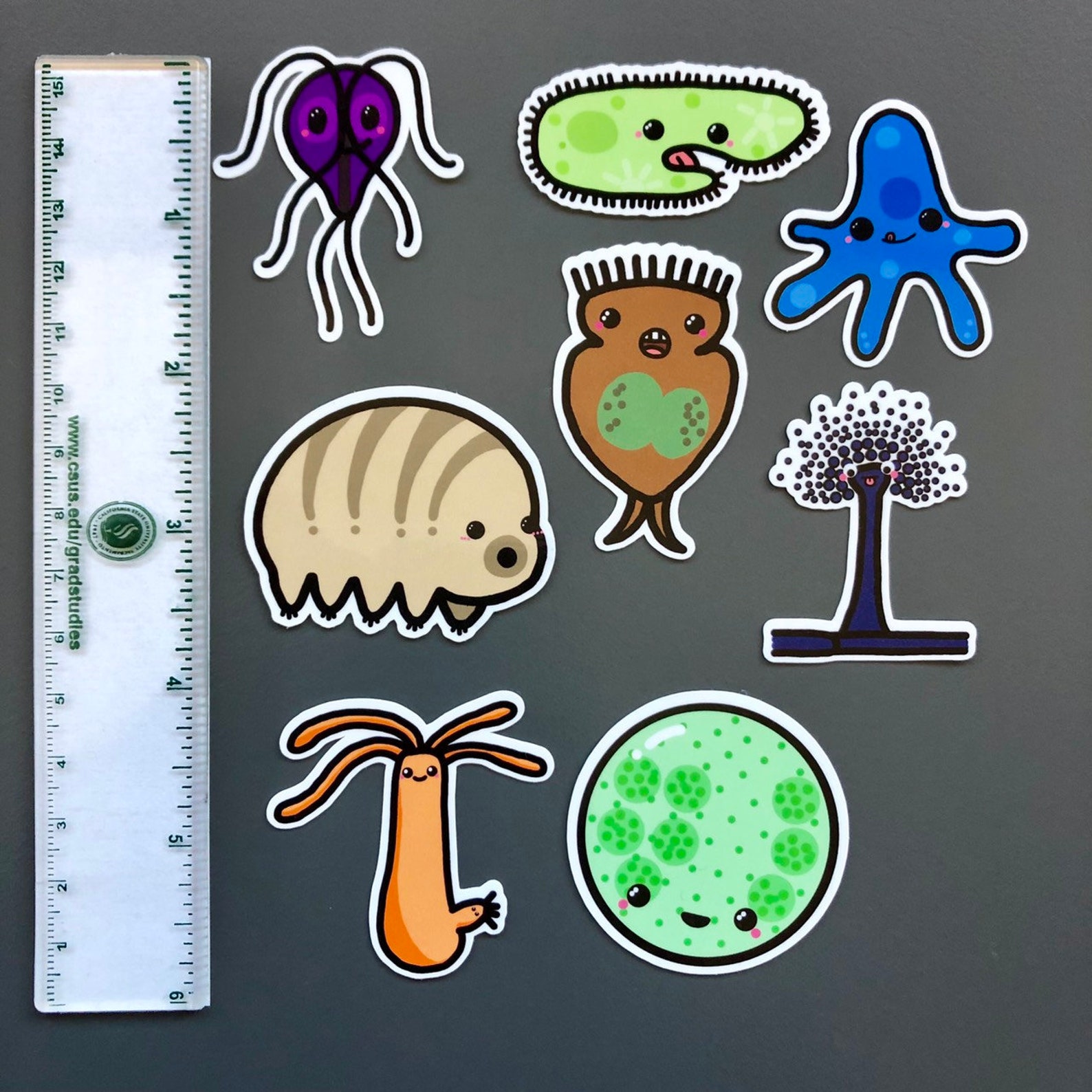 Cute Microorganism Critters Sticker Set - Etsy