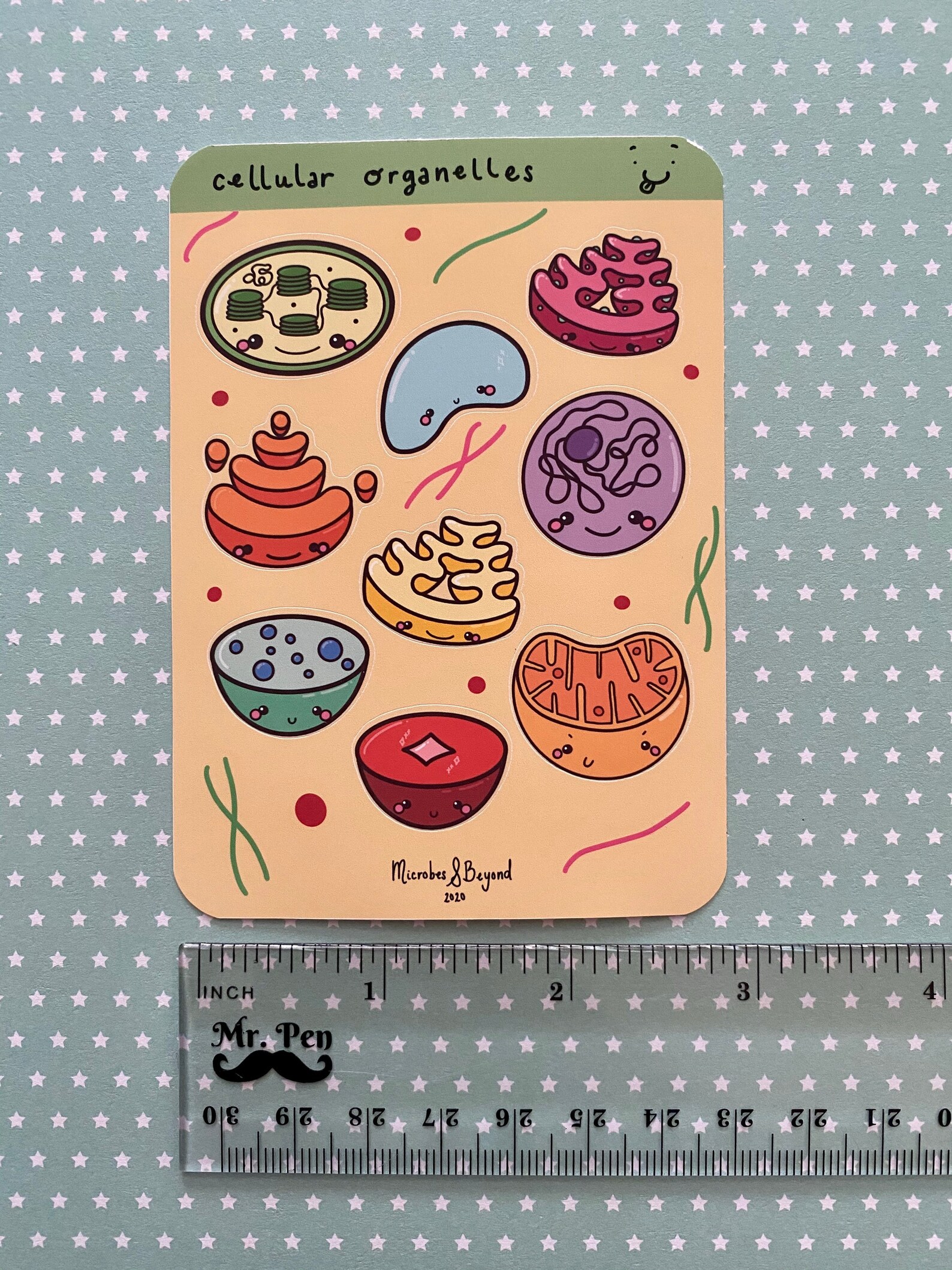 Cute Organelles Planner Sticker Sheet - Etsy