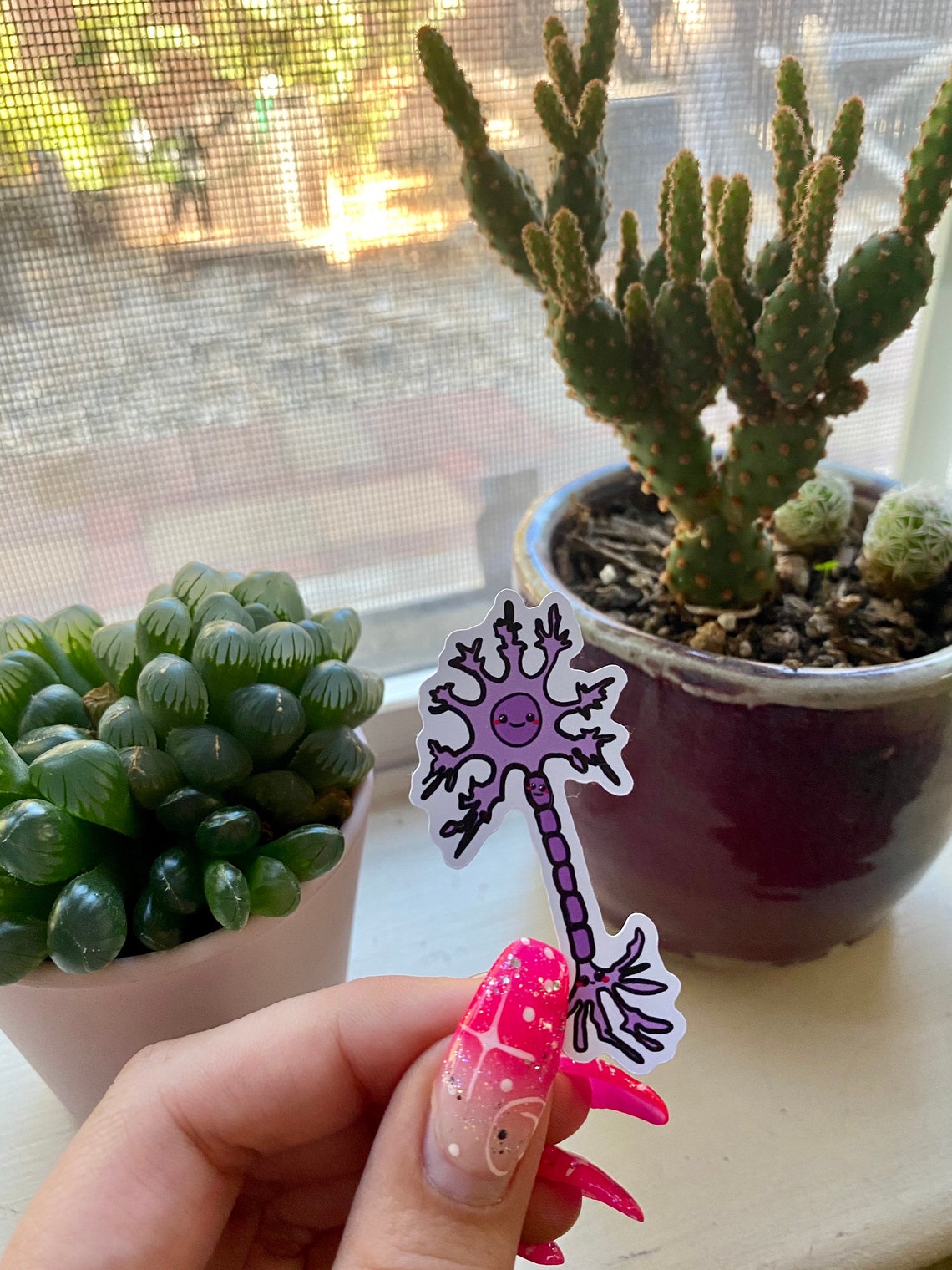 Cute Cells and Organelles Decorative Magnet Set | Etsy