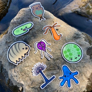 Cute Microorganism Critters Sticker Set - Etsy