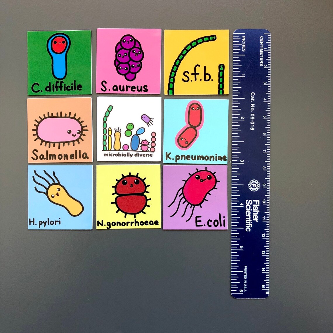 Cute Fat Bacteria Sticker Set | Etsy