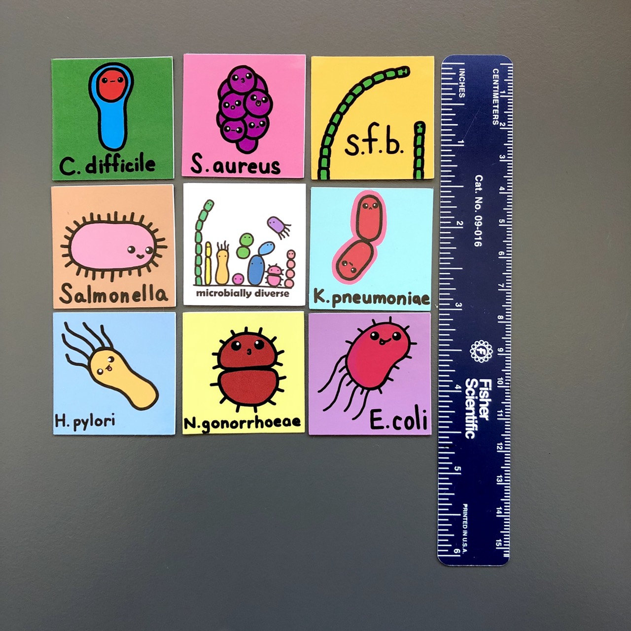 Cute Fat Bacteria Sticker Set - Etsy