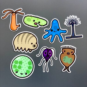 Cute Microorganism Critters Sticker Set - Etsy