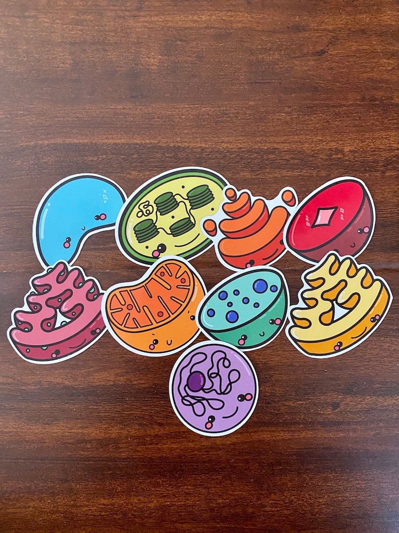 Cute Cells and Organelles Sticker Set - Etsy Australia