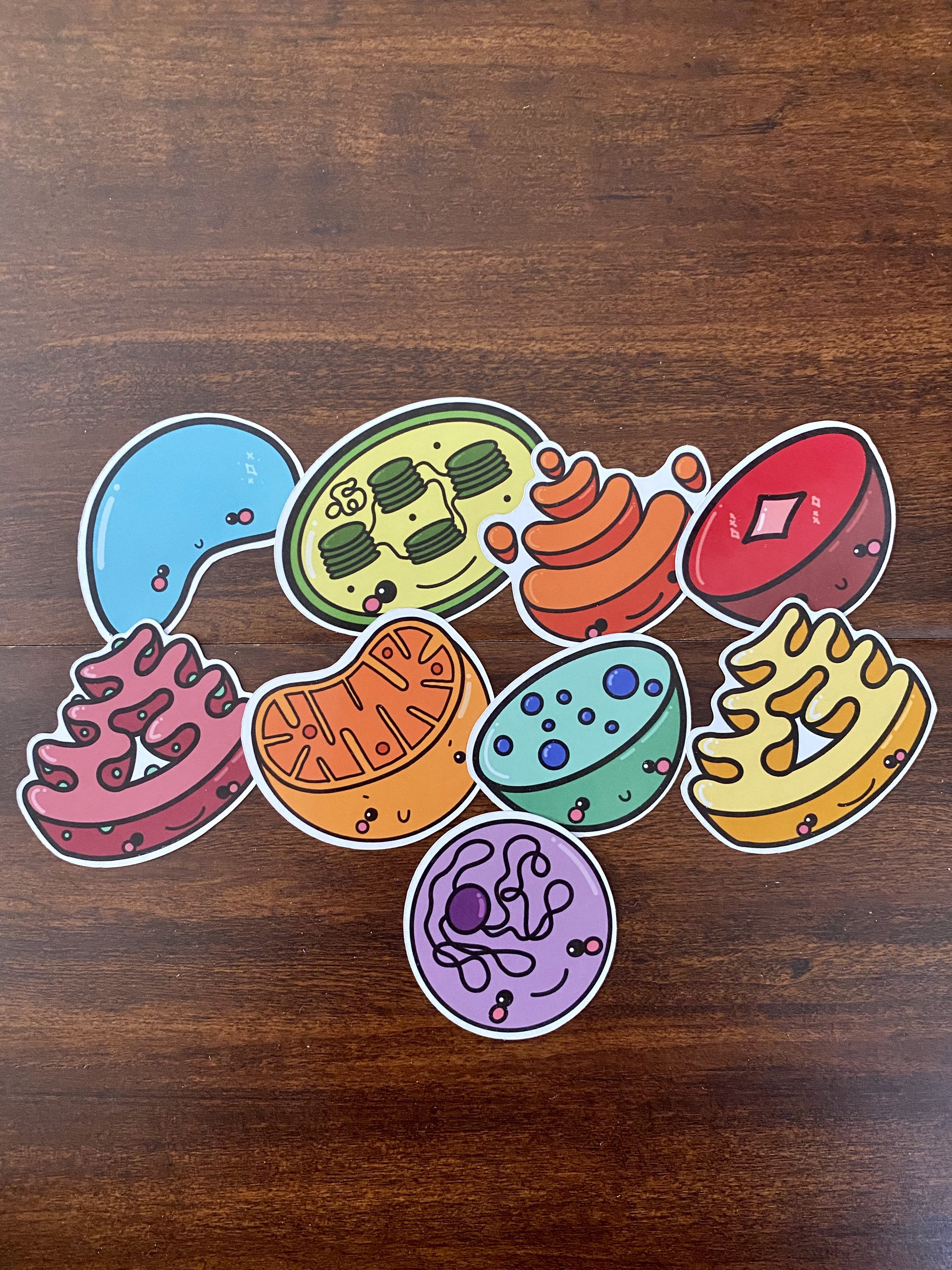 Cute Cells and Organelles Decorative Magnet Set - Etsy