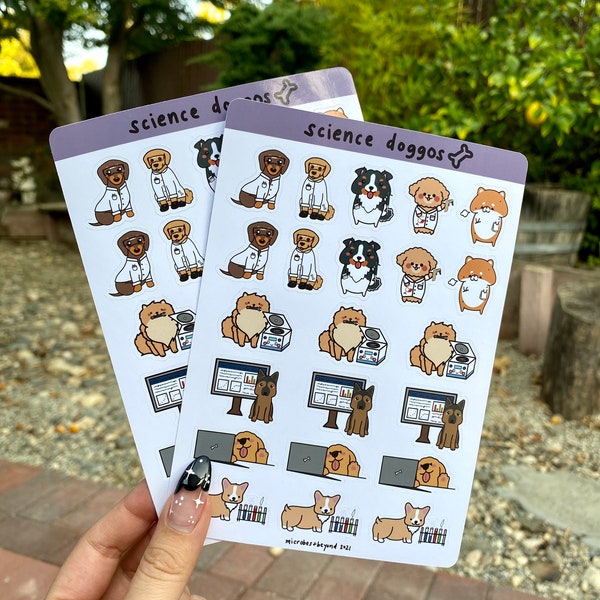 Science Stickers Cute - Etsy