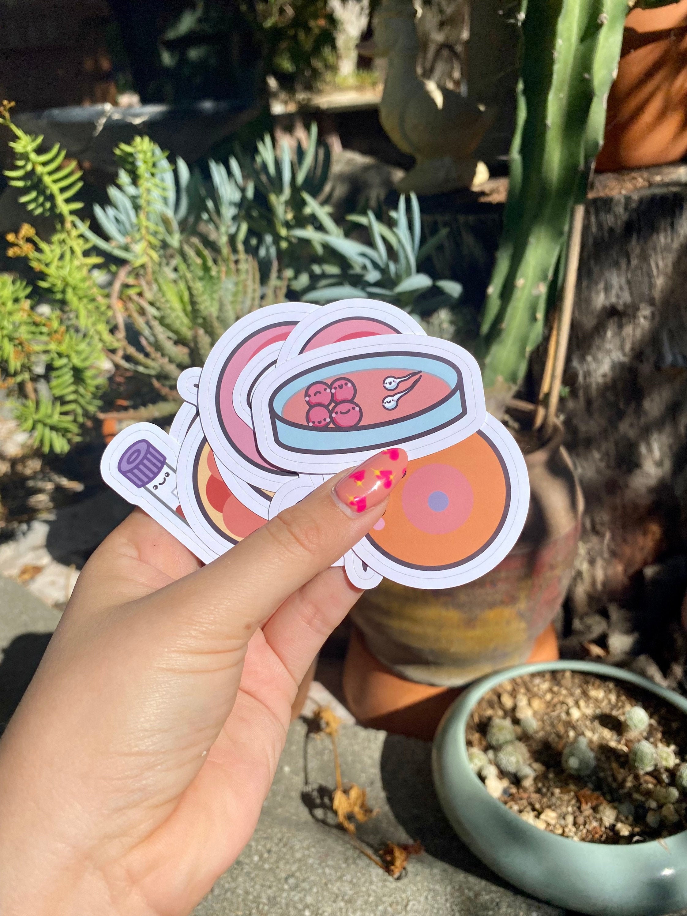 Cute IVF Fertility Sticker Set Science Kawaii In-vitro - Etsy