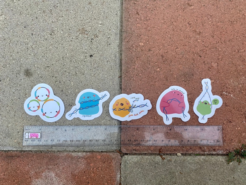 Cute DNA Babies Sticker Set - Proteins Transcription Factor CRISPR ...