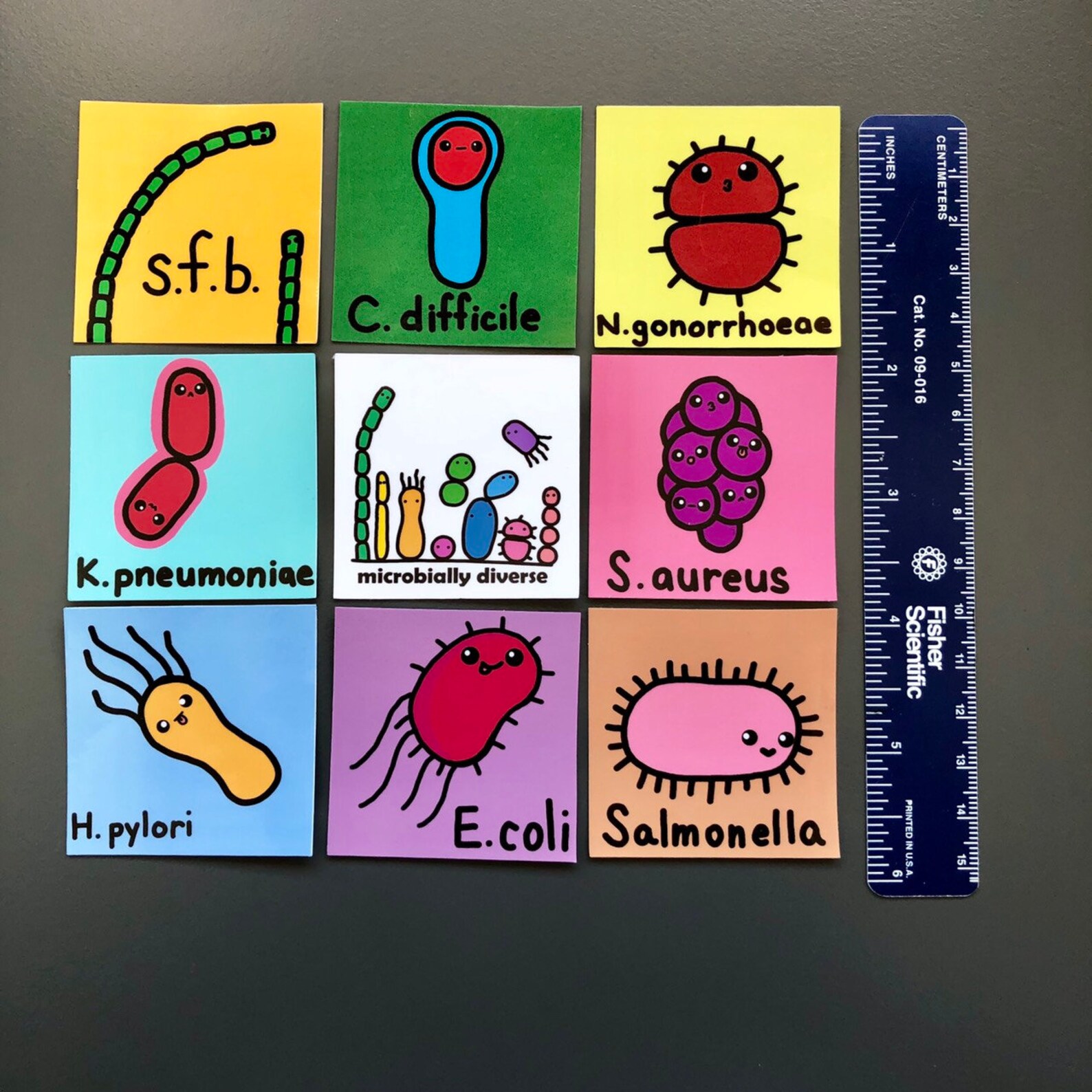 Cute Fat Bacteria Sticker Set - Etsy