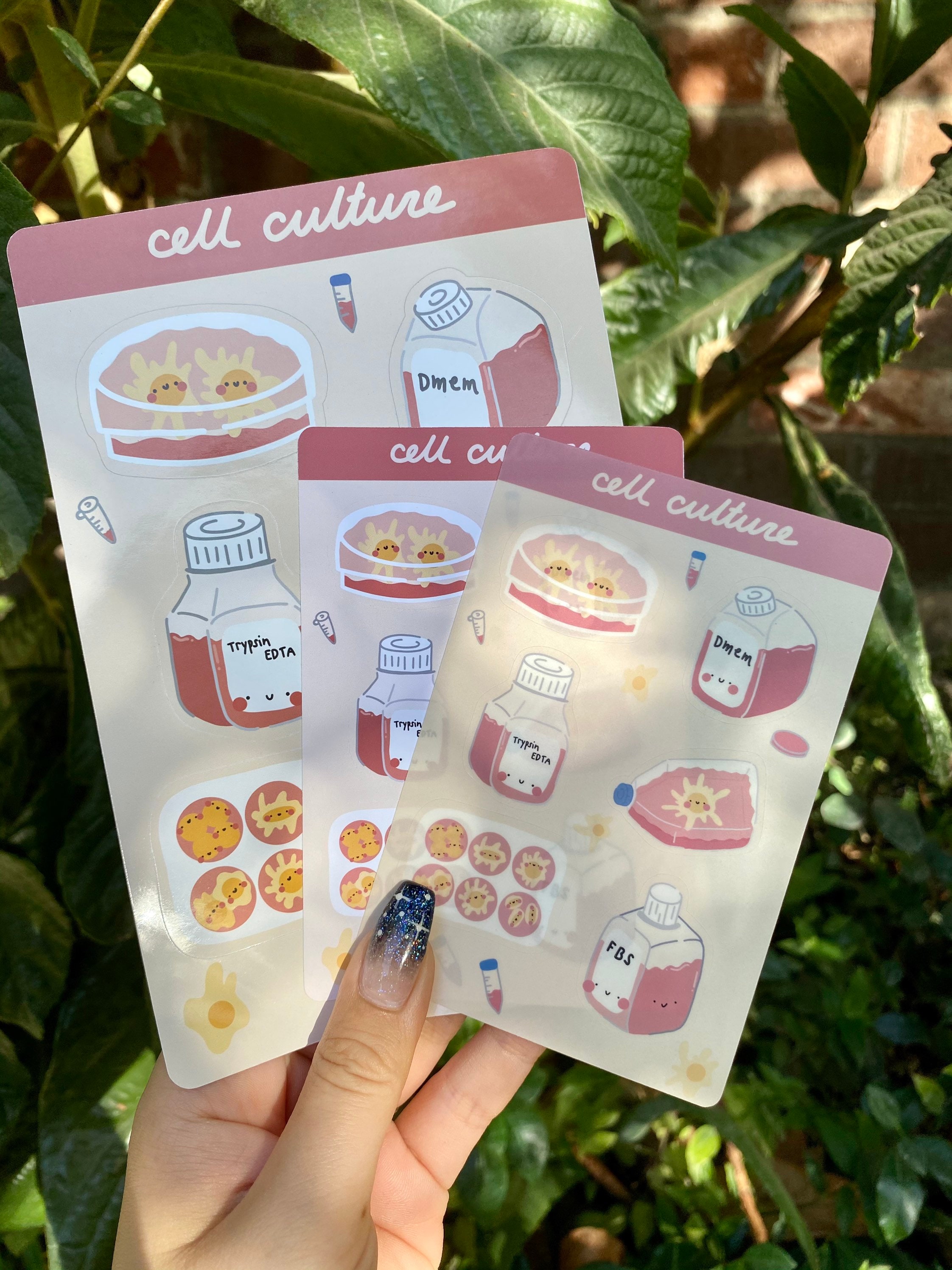 Cute Eukaryotic Cell Culture Sticker Sheet Kawaii Science | Etsy