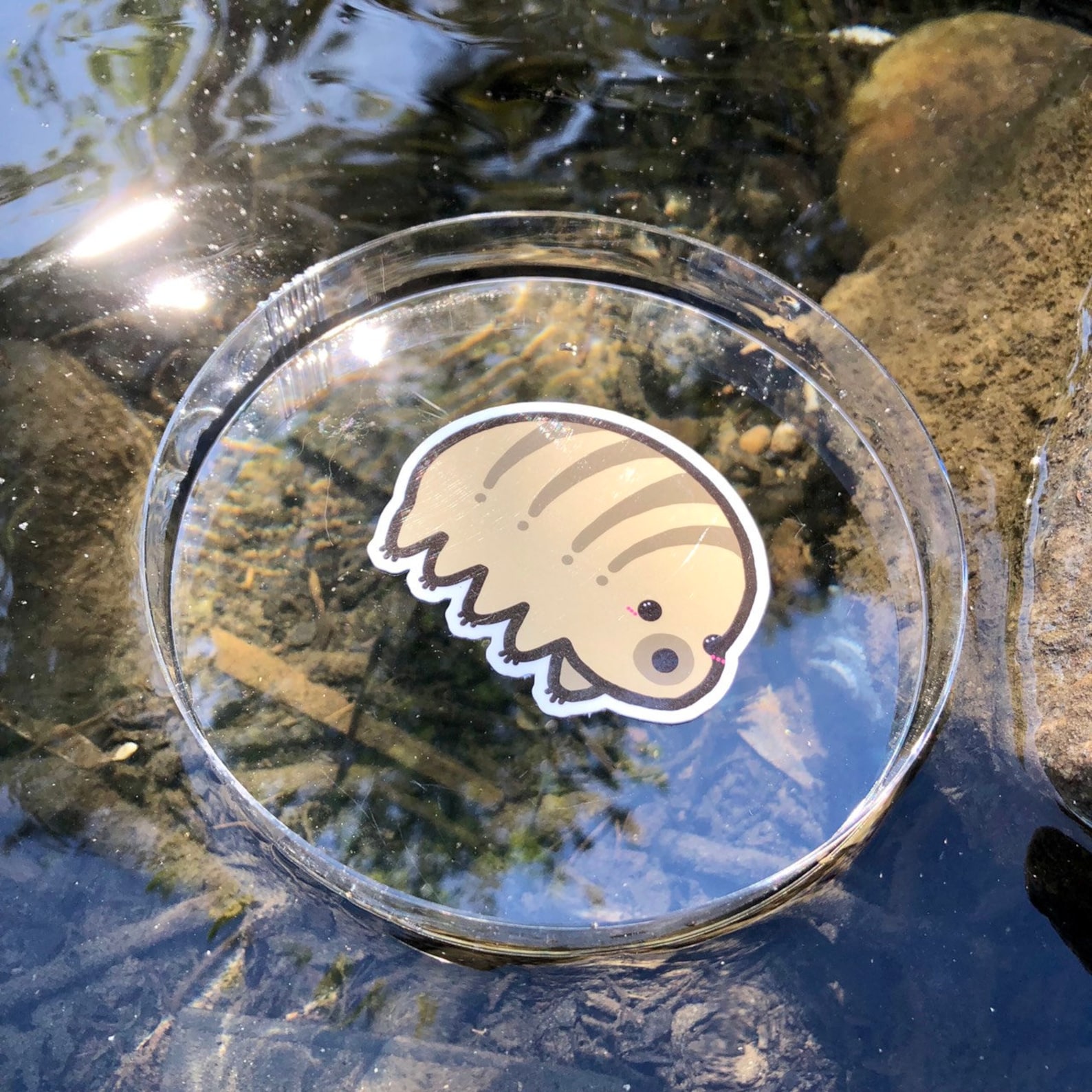 Cute Microorganism Critters Sticker Set - Etsy