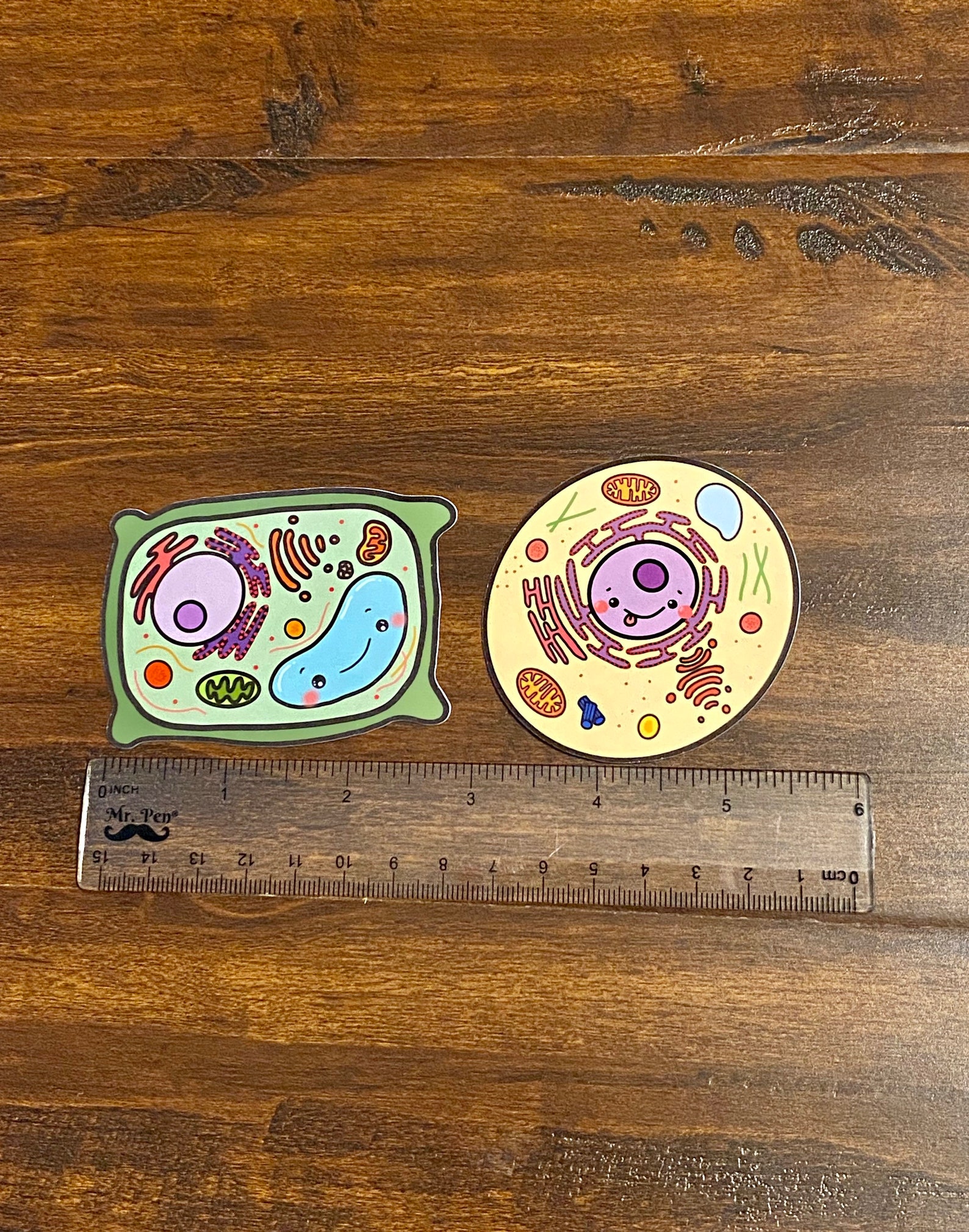 Cute Cells and Organelles Sticker Set - Etsy