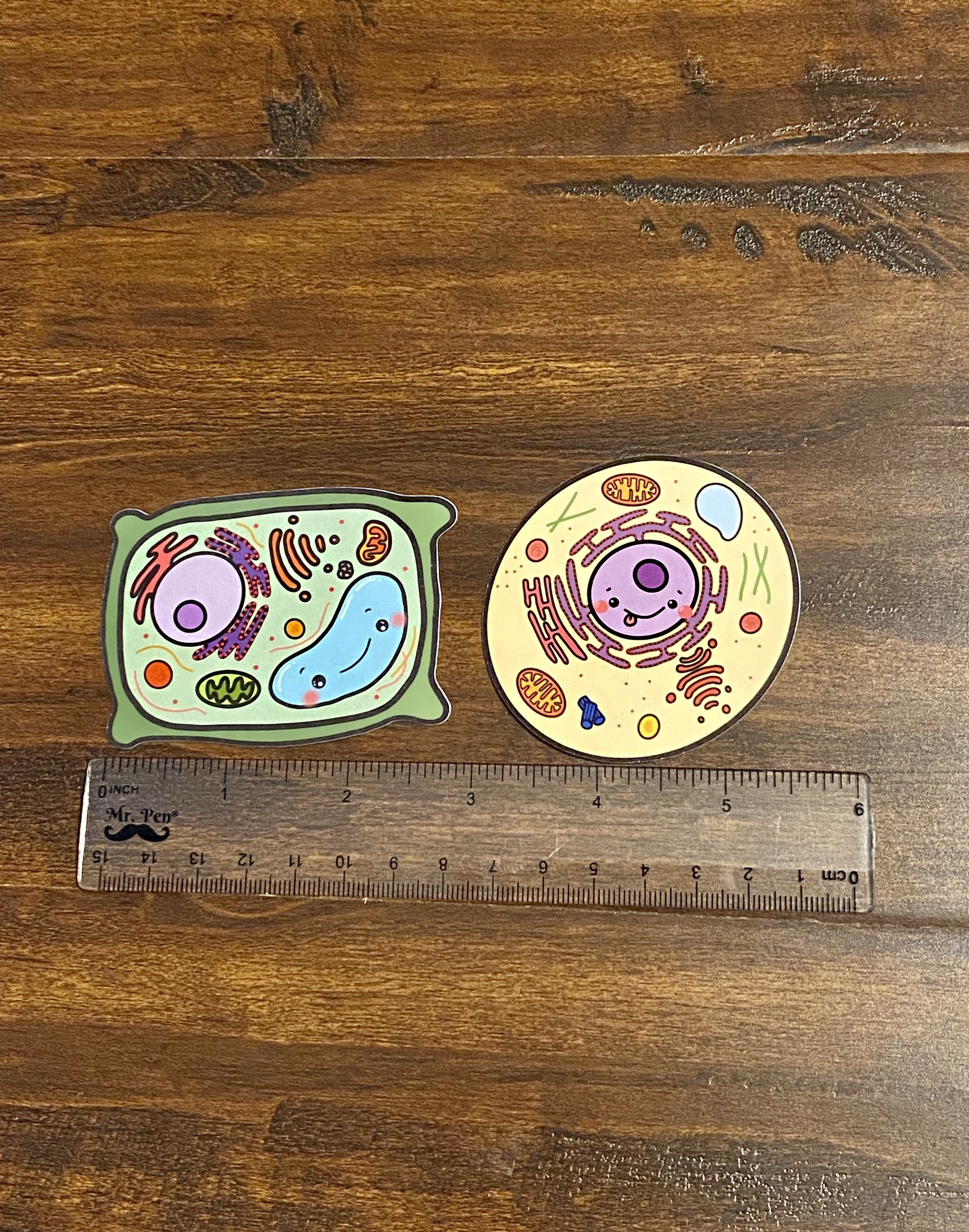Cute Cells and Organelles Decorative Magnet Set - Etsy