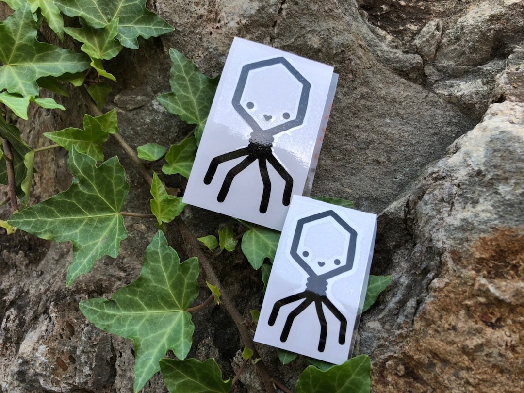 Cute Bacteriophage Vinyl - Etsy