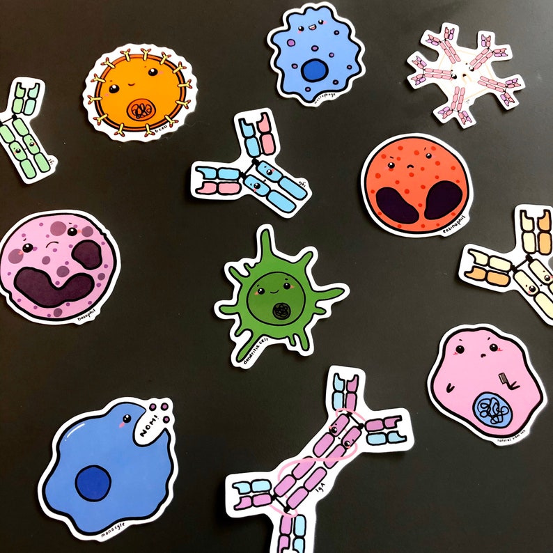 Cute Antibodies and Immune Cells Sticker Set | Etsy