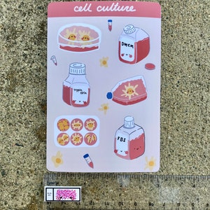 Cute Eukaryotic Cell Culture Sticker Sheet ~ Kawaii Science Planner ...