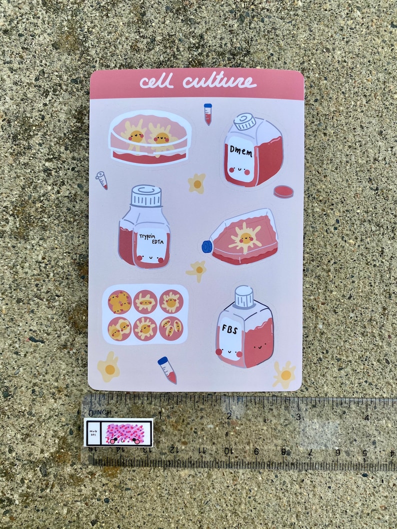Cute Eukaryotic Cell Culture Sticker Sheet Kawaii Science | Etsy