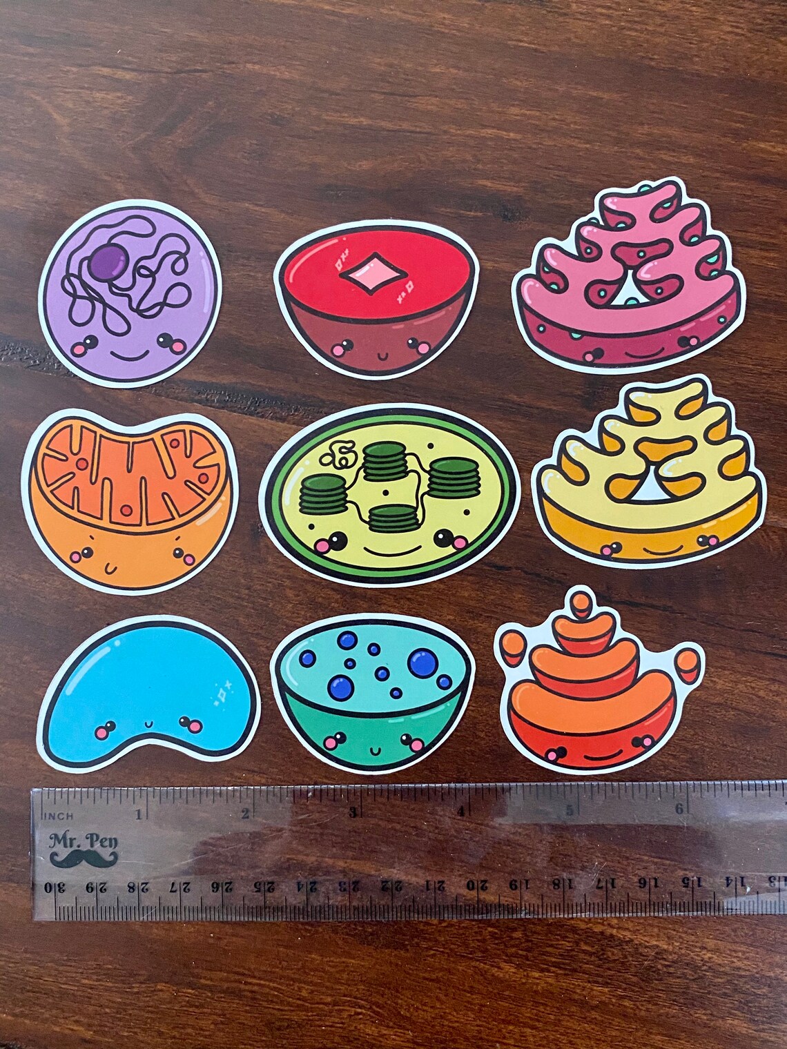 Cute Cells and Organelles Decorative Magnet Set | Etsy