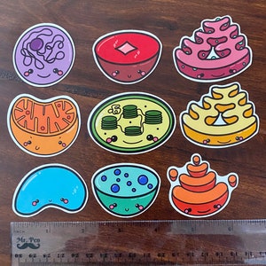 Cute Cells and Organelles Sticker Set - Etsy