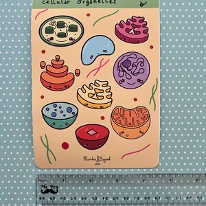Cute Organelles Planner Sticker Sheet - Etsy