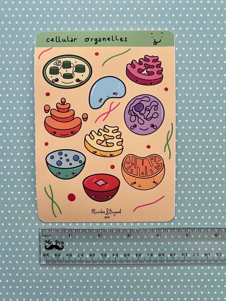 Cute Organelles Planner Sticker Sheet - Etsy