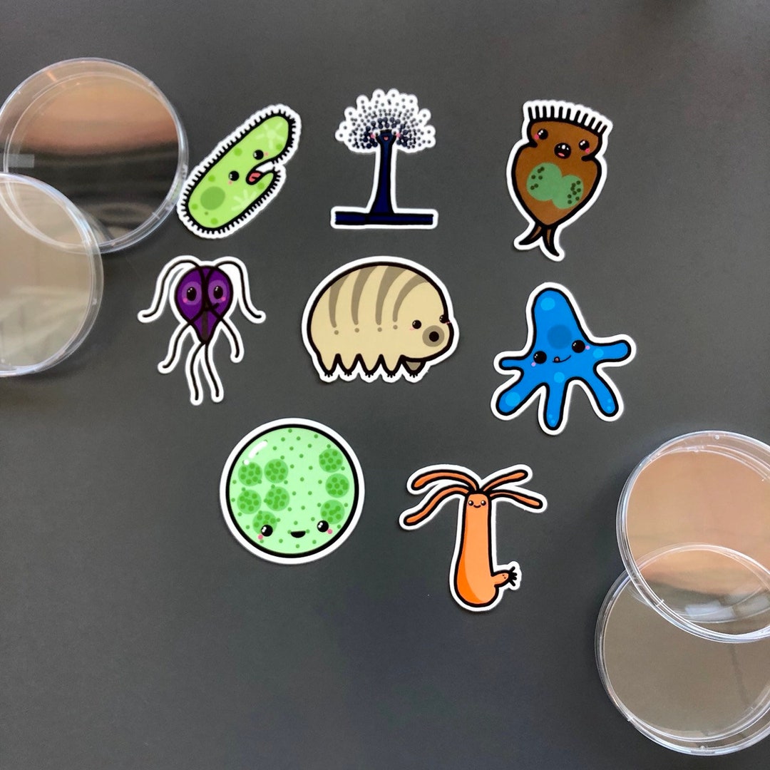Cute Microorganism Critters Sticker Set - Etsy