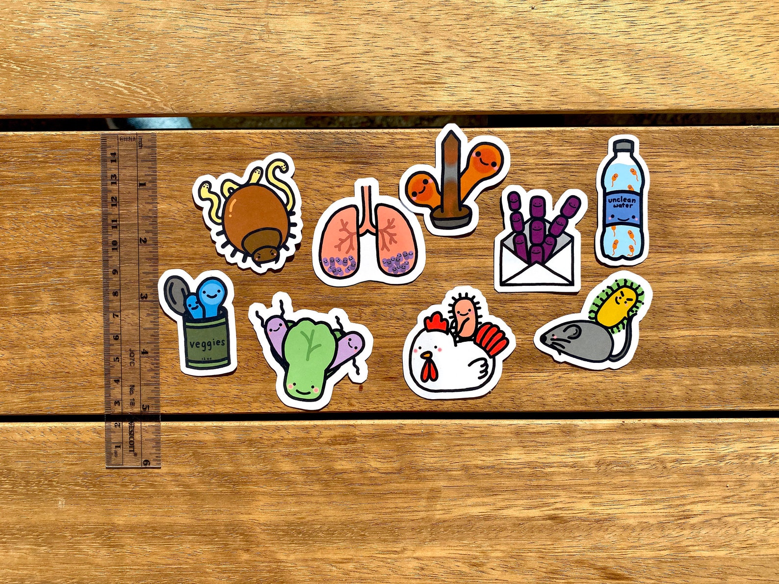 Bacterial Infections and Disease Sticker Set - Etsy