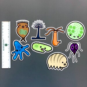 Cute Microorganism Critters Sticker Set - Etsy