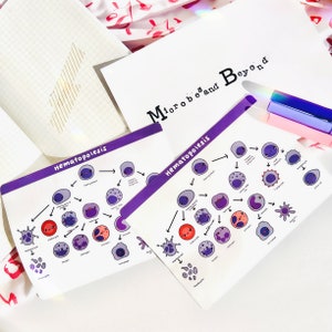 Cute Hematopoiesis Sticker Sheet ~ Blood Cells Immune Hematology ...