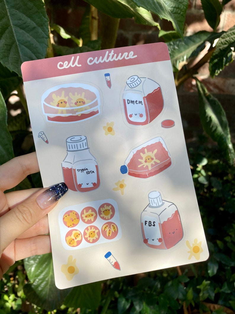 Cute Eukaryotic Cell Culture Sticker Sheet Kawaii Science | Etsy