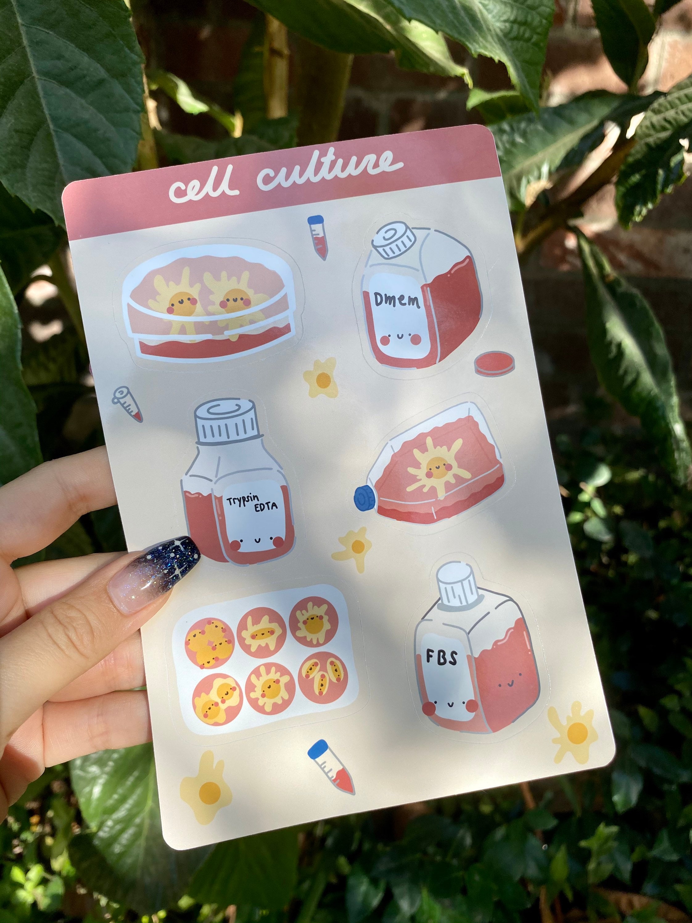 Cute Eukaryotic Cell Culture Sticker Sheet Kawaii Science | Etsy