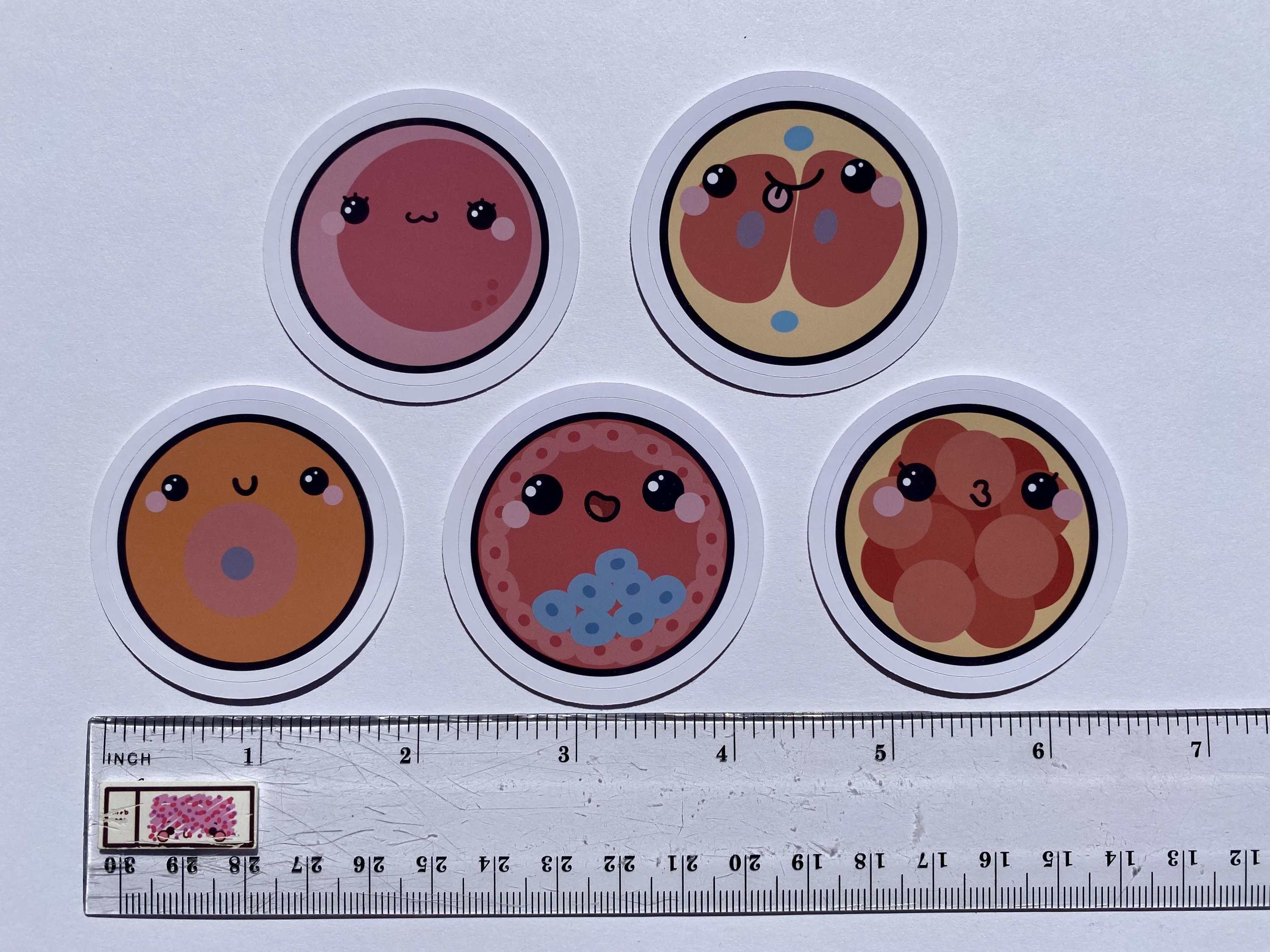 Cute IVF Fertility Sticker Set Science Kawaii In-vitro | Etsy
