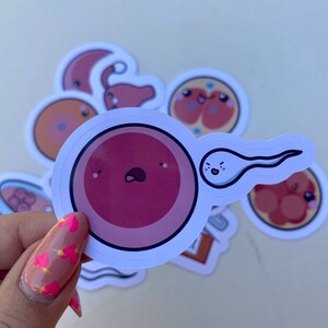 Cute IVF Fertility Sticker Set ~ Science Kawaii In-vitro Fertilization ...