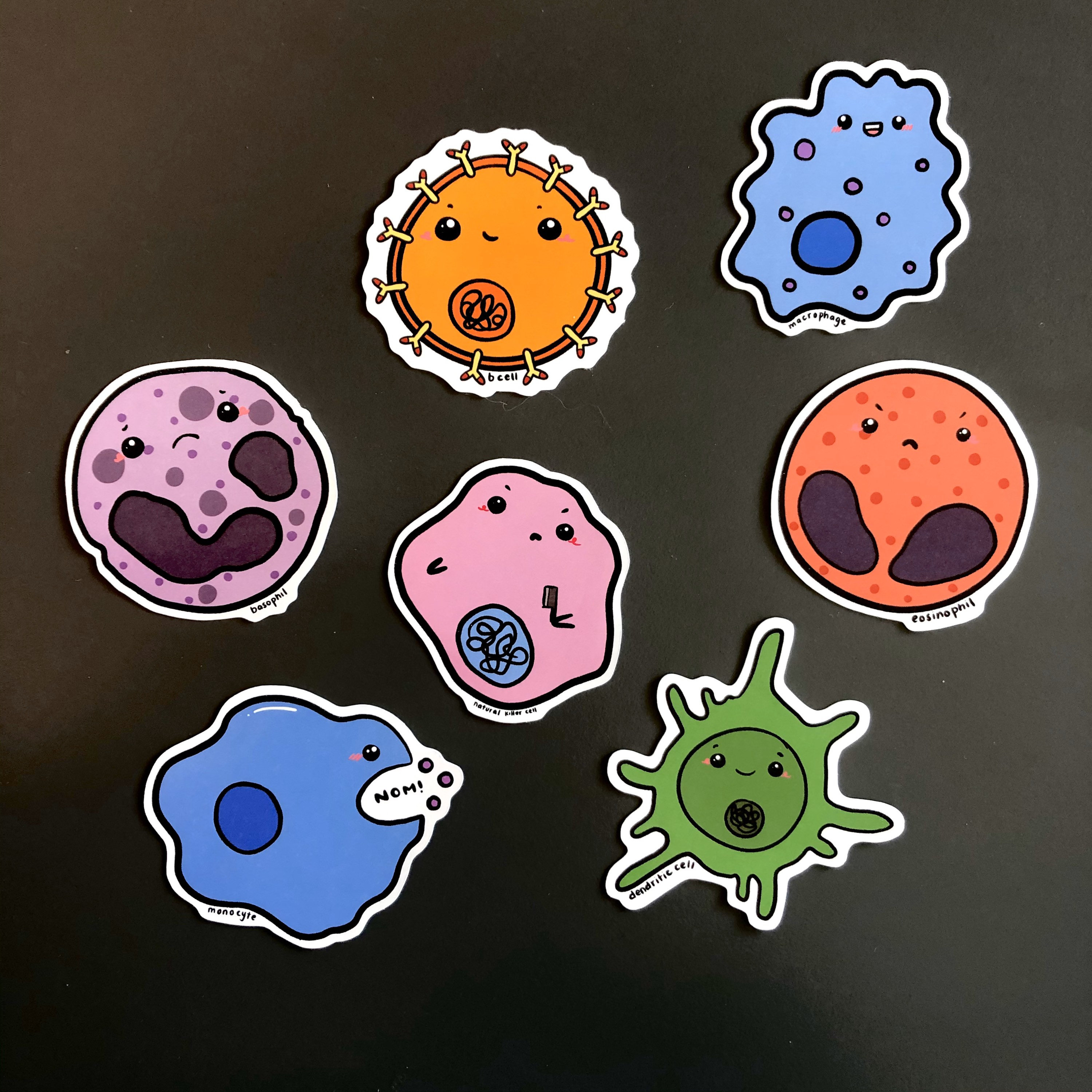 Cute Antibodies and Immune Cells Sticker Set - Etsy